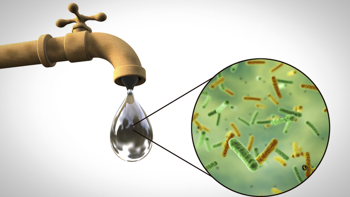 The Causes of Nitrate-Contaminated Water in Low-Income Areas - Giving ...