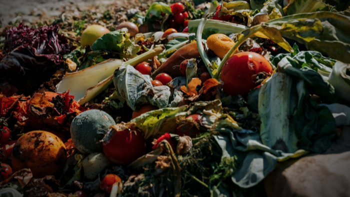 The State Of America s Food Waste Issues Giving Compass the-state-of-america-s-food-waste-issues-giving-compass