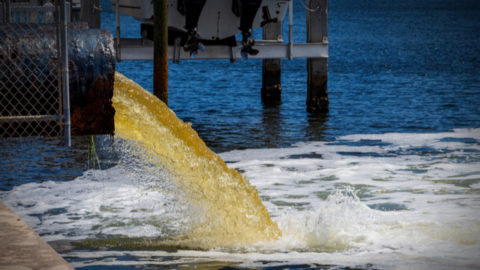 The Impacts of Sewage Pollution on Marine Conservation Efforts · Giving ...