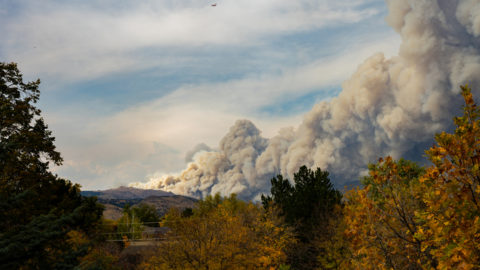 How 1910's Big Burn Can Help Us Think Smarter About Fighting Wildfires ...