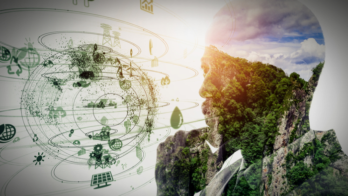 The Contributions of Businesses to the Sustainable Development Goals ...