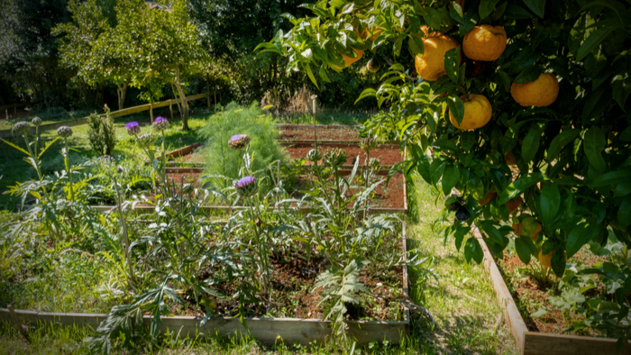 Building a Sense of Community Through Neighborhood Orchards - Giving ...