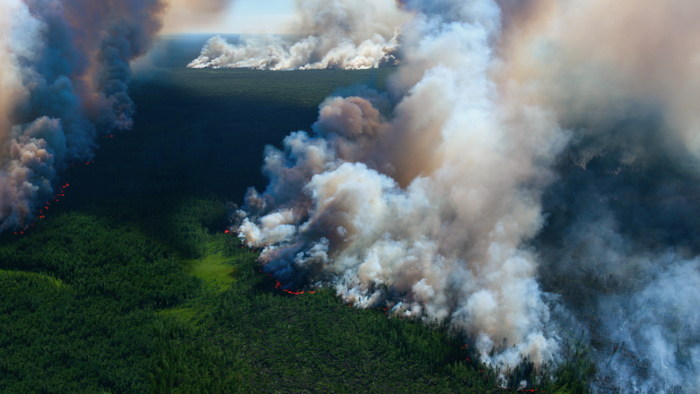 Carbon Offsets Are Going Up In Flames - Giving Compass