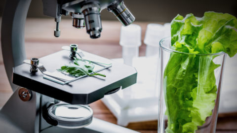 How Food Technology Can Enhance Transparency in the Food System ...