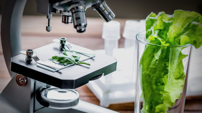 How Food Technology Can Enhance Transparency in the Food System ...