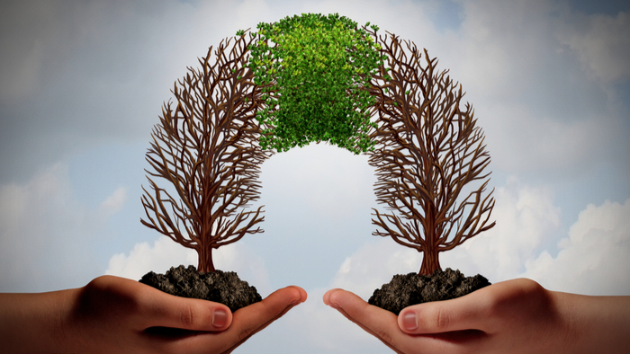 How Collaborative Networks Can Spur Environmental Change - Giving Compass