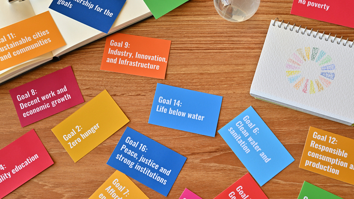 Aligning Your Giving Strategy with the SDGs - Giving Compass