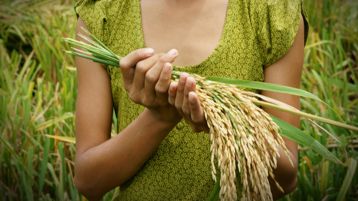 Driving Progress in Global Food Equity and Security - Giving Compass