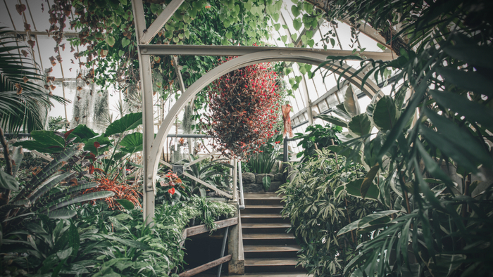 Forest Resilience to Extreme Droughts and Climate Change - Giving Compass