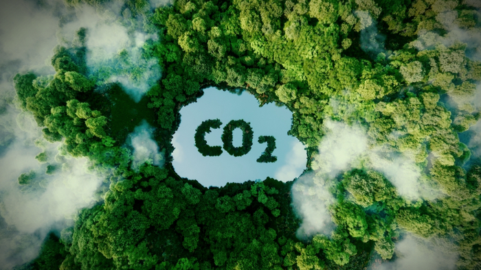 Nature and Climate Change Policy Priorities This Year - Giving Compass