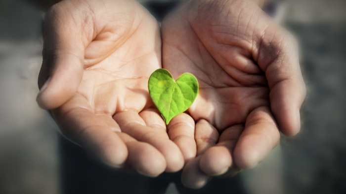 How to Shape a Successful Company Philanthropy Program - Giving Compass