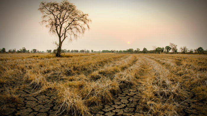 Drought and Water Scarcity Caused By the Climate Crisis - Giving Compass