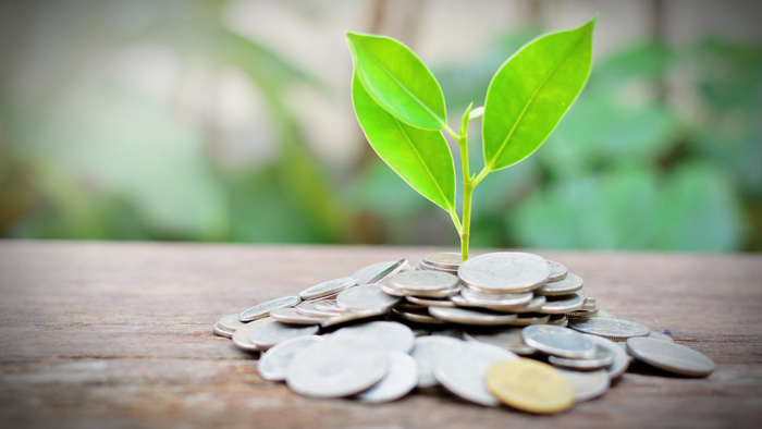 Examining Green Finance and Net-zero Pathways - Giving Compass