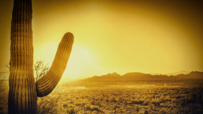 Plans to Address Extreme Heat in Phoenix - Giving Compass