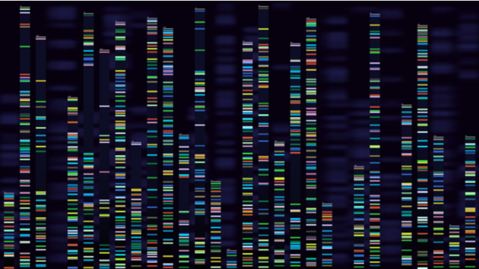 Record-breaking Rapid DNA Sequencing Promises Timely Diagnosis for ...