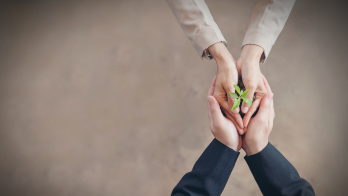 The Importance of Sustainability Professionals to Reach Net-zero Goals ...