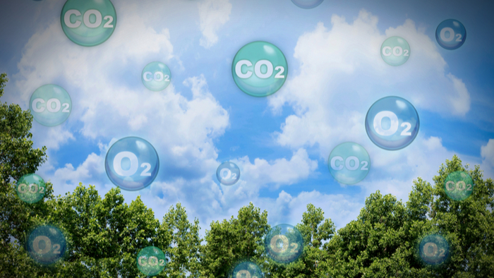 How Climate Change Will Impact the Ecosystem in the Air - Giving Compass