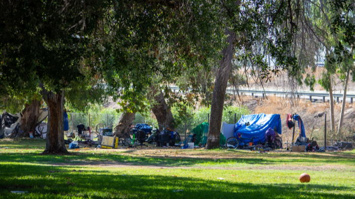 Progress Against Chronic Homelessness in 2021 in the Bay Area - Giving ...