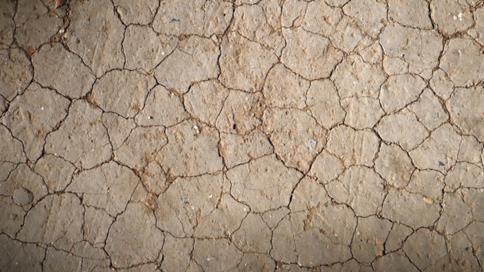 No Shortcuts to Sustainability - Giving Compass