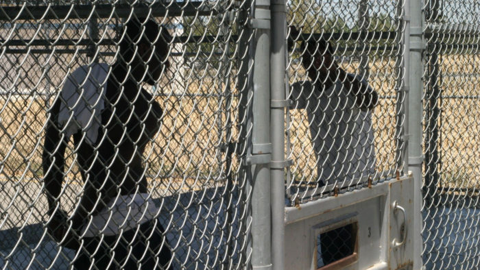 Why Shutting Down Youth Prisons Actually Reduces Crime - Giving Compass