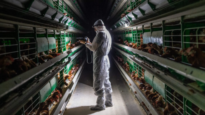 Reducing Factory Farming to Advance Animal Welfare, Climate Justice ...