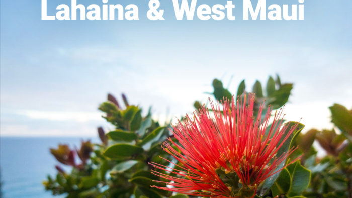 Creating a Fire-Resilient Landscape in Lahaina and West Maui - Giving ...