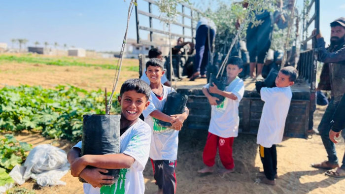 Reviving Local Agricultural Production in Gaza to Bolster Food ...